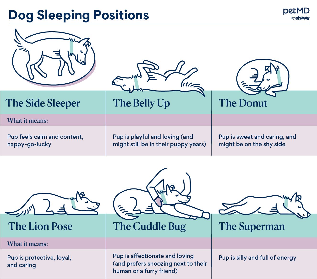Dog Sleeping Positions Meanings Chart 10 Positions 53 OFF Dog Sleeping Positions Meanings Chart 10 Positions 53 OFF
